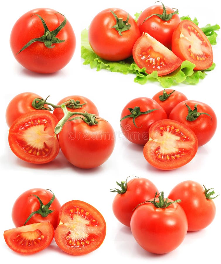 Tomato Sampler stock photo. Image of cook, nutrition, isolate - 7170778