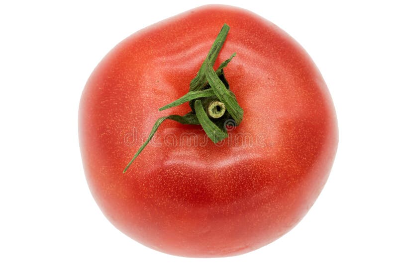Red Tomato Vegetable Isolated on White Stock Photo - Image of leaf ...