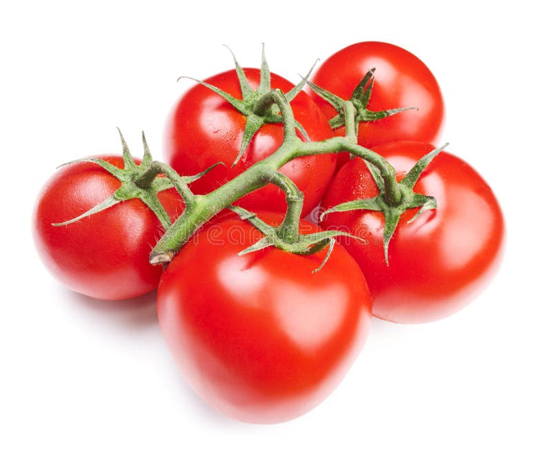 Red tomato vegetable stock image. Image of tomato, round - 24121631