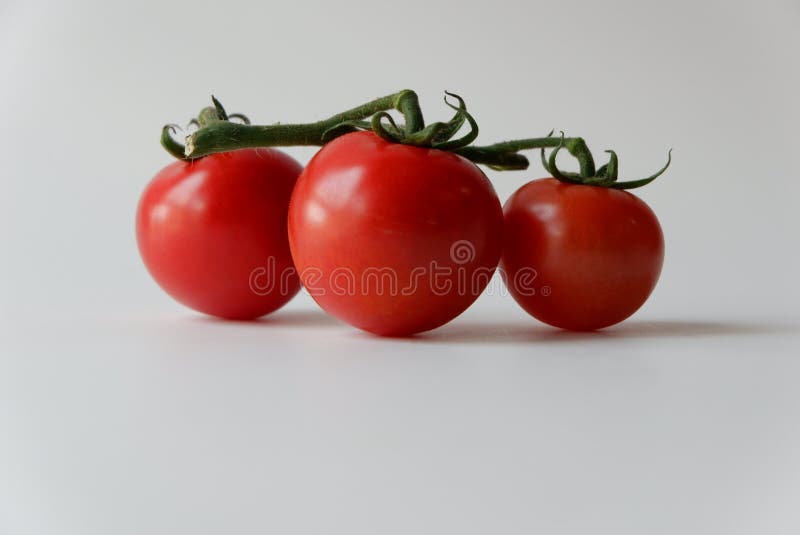 Roti Titap Stock Photos - Free & Royalty-Free Stock Photos from Dreamstime