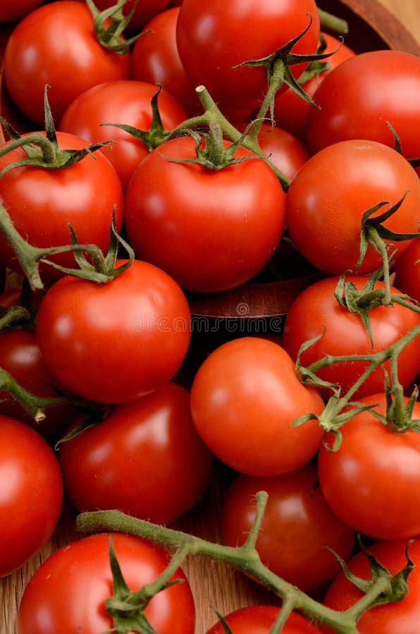 Red tomatoes stock image. Image of fresh, tomato, vegetarian - 36942367