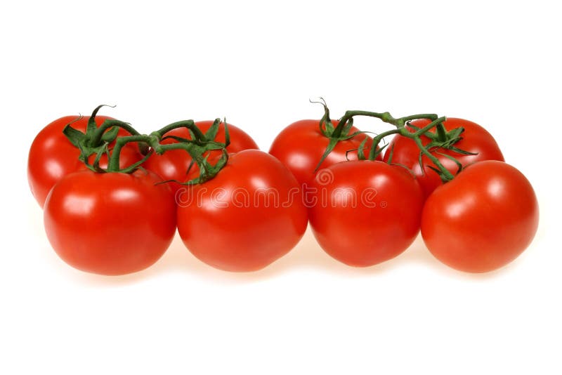 Red tomatoes stock image. Image of fruit, isolated, tasty - 6984687