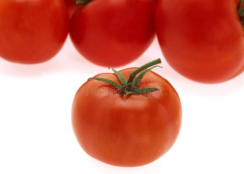 TOMATE ROUGE stock image. Image of white, tomatoes, solanum - 170288539