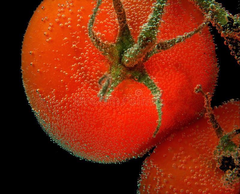 Red Tomatoes with Air Bubble on a Surface on Gray Background Stock ...