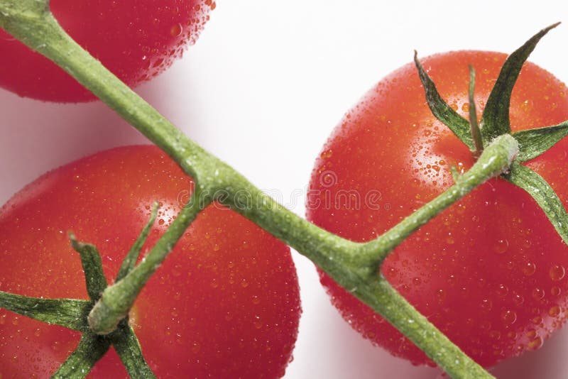 Red Tomatoes Background. Group of Tomatoes Stock Image - Image of ...