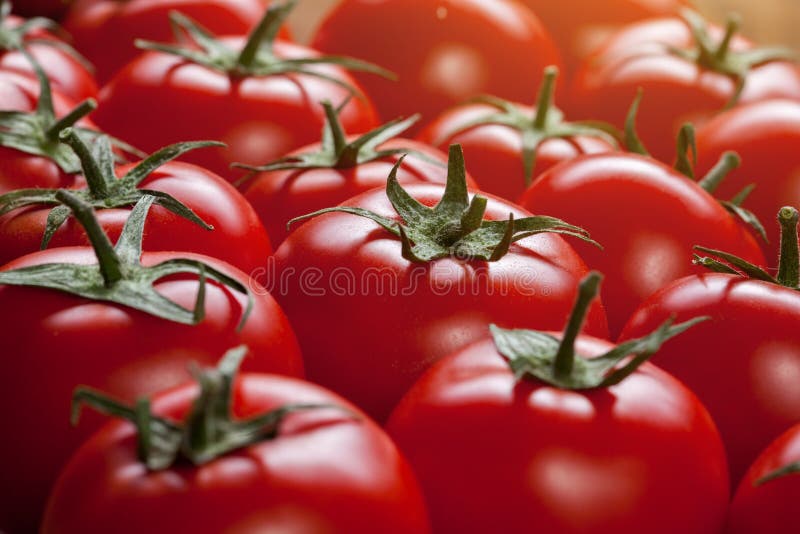 Red tomatoes background stock image. Image of agriculture - 40796179