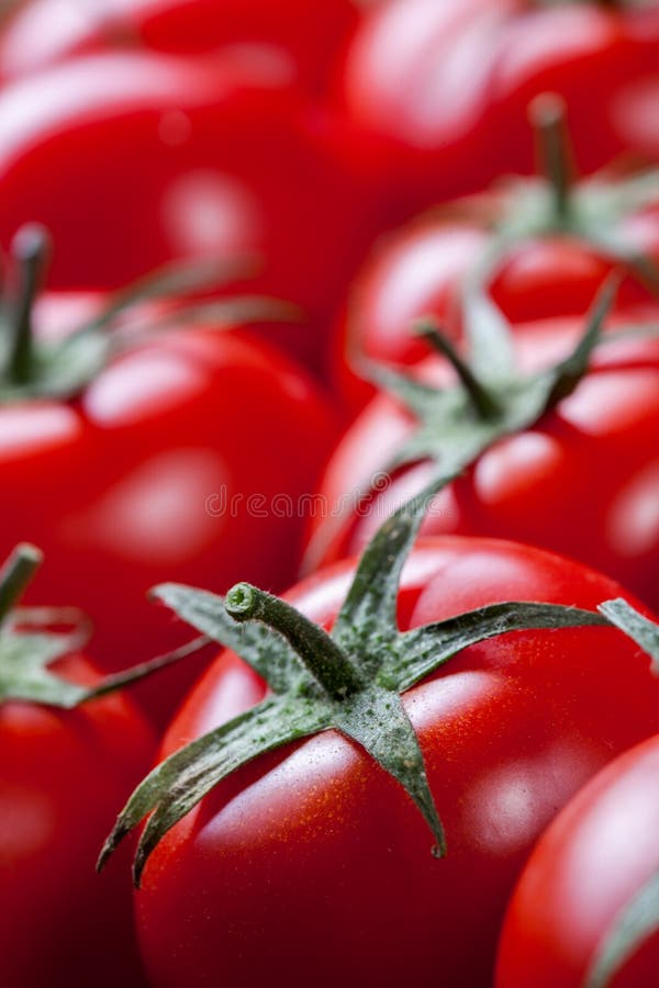 Red Tomatoes Background on Tray in Market. Group of Tomatoes Stock ...