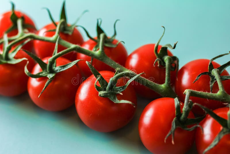 Red Tomatoes on a Branch Close Up, Vegetables Macro Stock Photo - Image ...