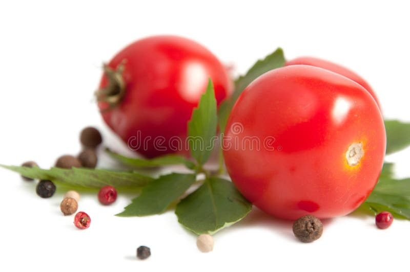 Red tomatoes and spices stock image. Image of pepper - 20503637