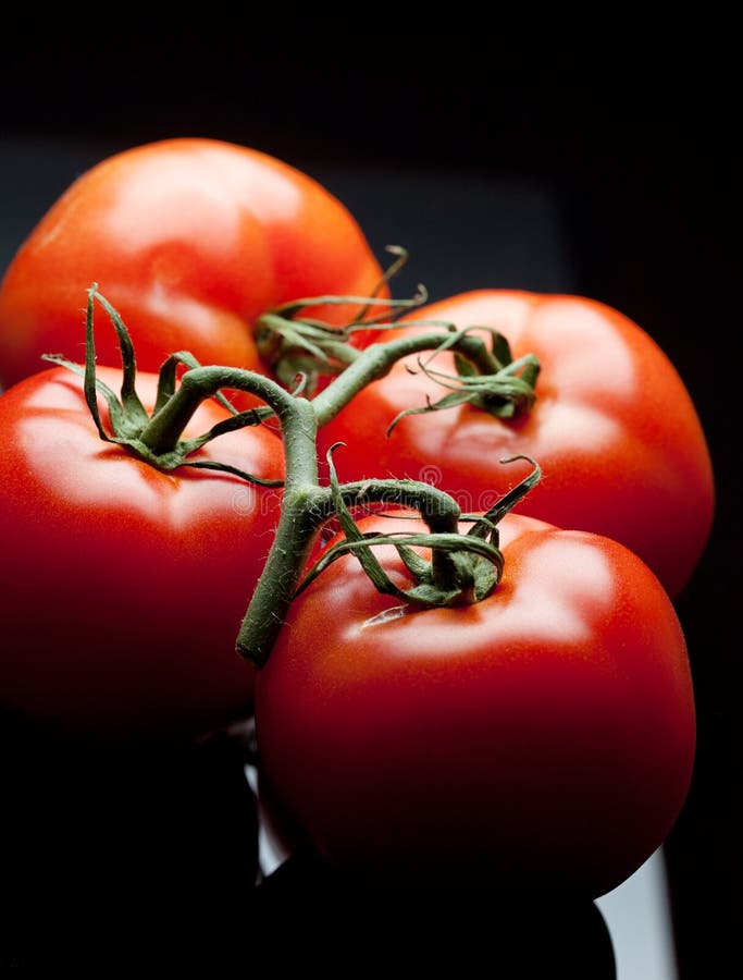 Red tomatoes on vine stock image. Image of macro, eating - 17668553