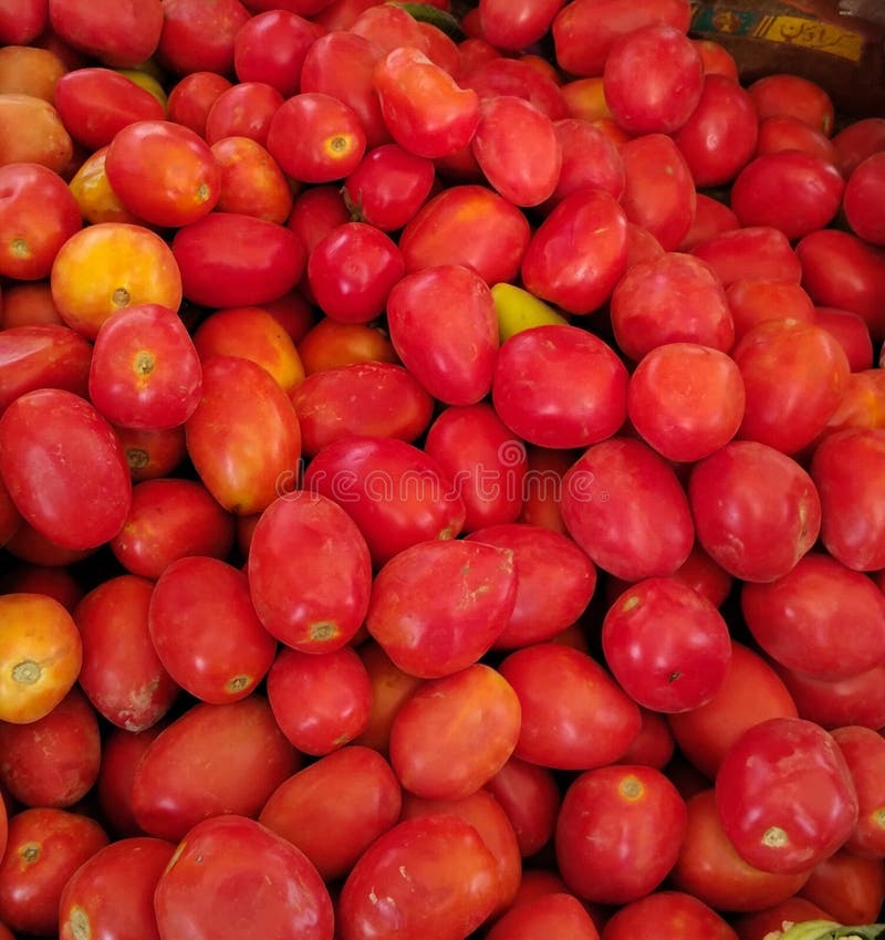 RED Tomatoes Yummy Food Delicious Garnished Stock Photo - Image of ...