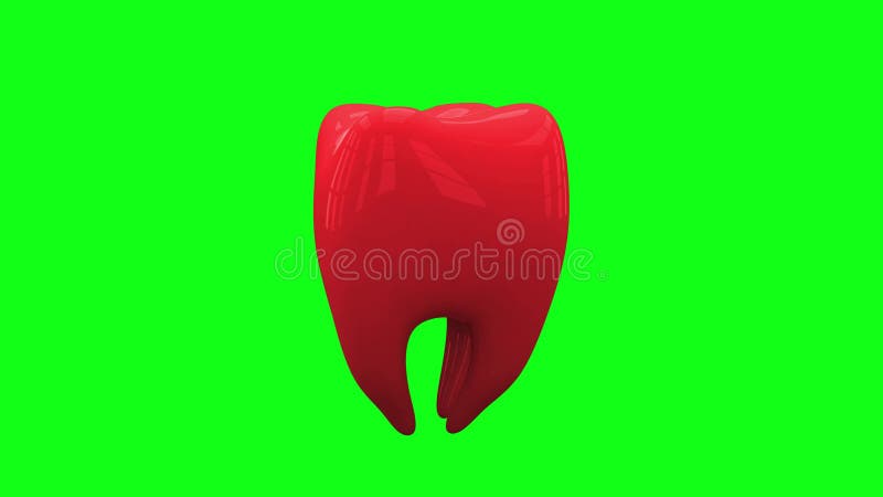 Health Tooth Loop Rotate on Green Screen Stock Footage - Video of ...
