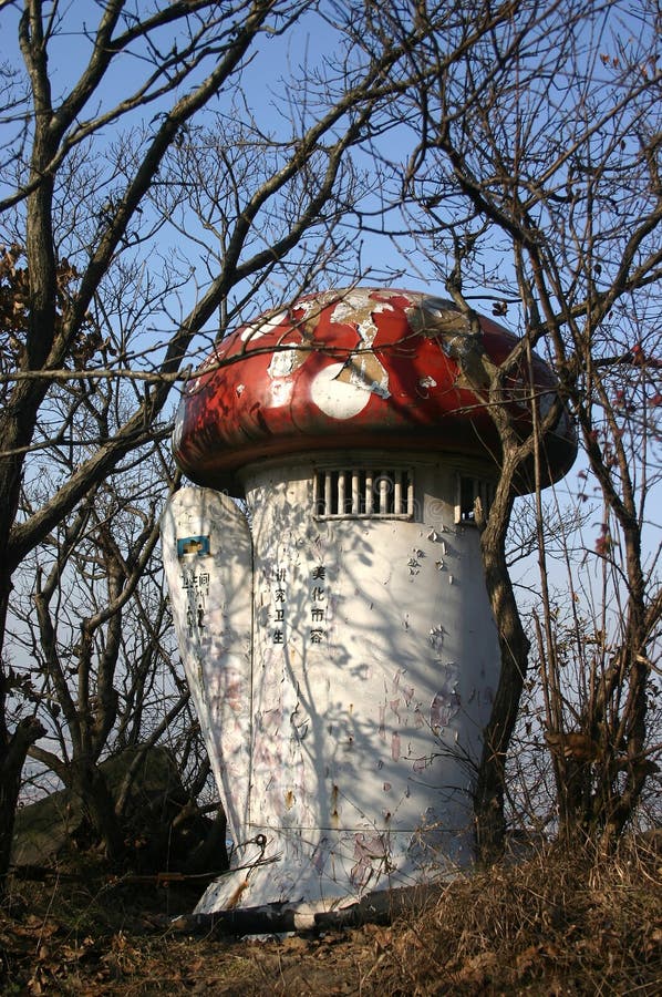 Red Top Mushroom Building stock image. Image of restroom - 4992931