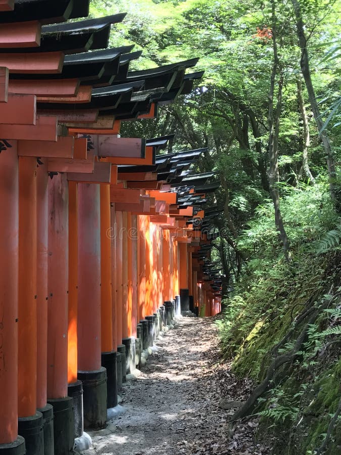 Red Tori temple kyoto stock image. Image of kyoto, tori - 96833443