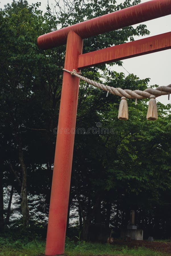 A Red Torii Gate and Shrine Standing Quietly within the Forest. Stock ...