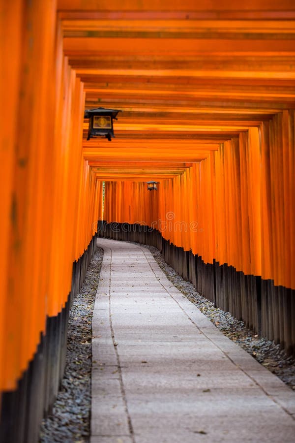 Red torii at japan stock image. Image of japan, fushimi - 71118905
