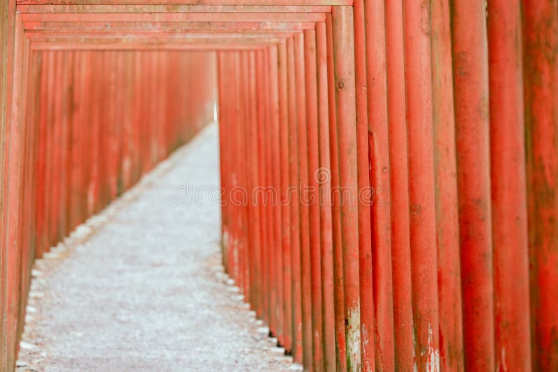 Red torii stand in a raw stock photo. Image of japan - 241592820