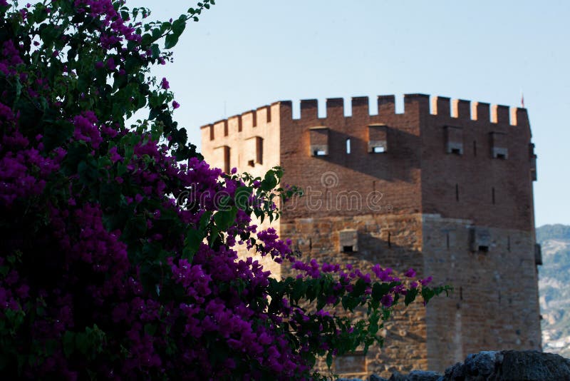Red Tower and Walls in Alanya Stock Image - Image of life ...