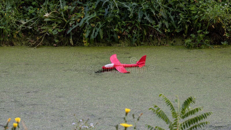 A Toy Plane is Floats in a Small Pond Stock Photo - Image of daylight ...