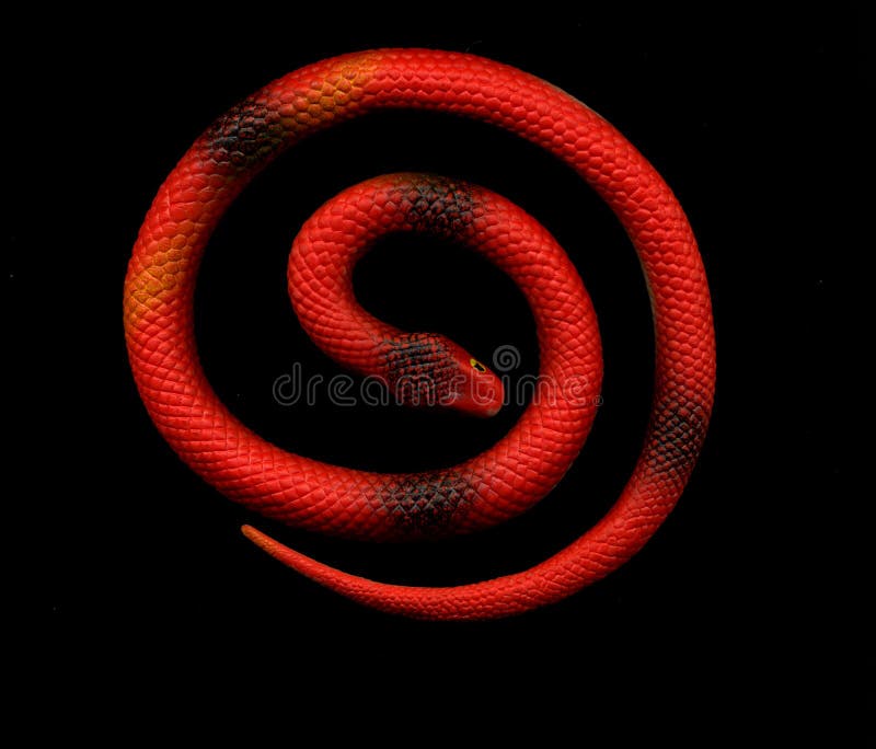 Red Toy Rubber Snake Rolled Up in a Ball. Colored Toy Snake. Rubber ...