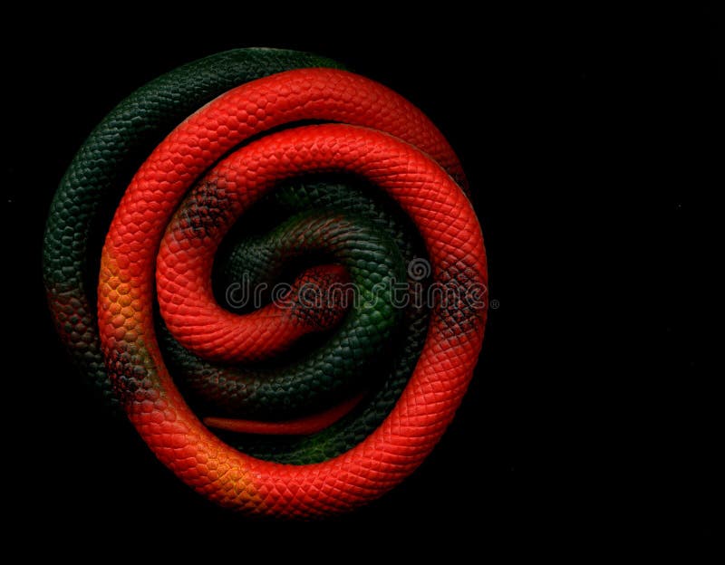 Red Toy Rubber Snake Rolled Up in a Ball. Colored Toy Snake. Rubber ...