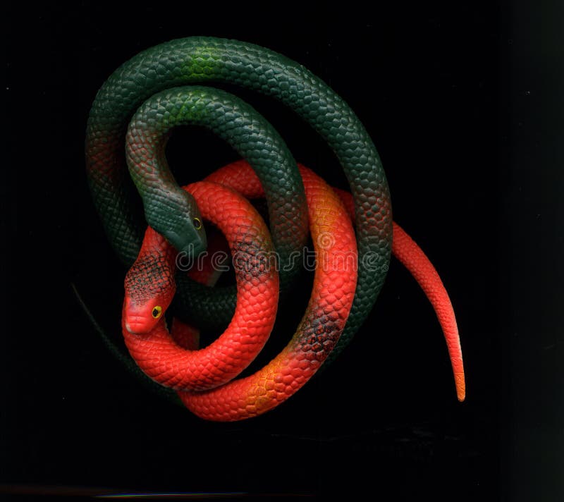 Red Toy Rubber Snake Rolled Up in a Ball. Colored Toy Snake. Rubber ...