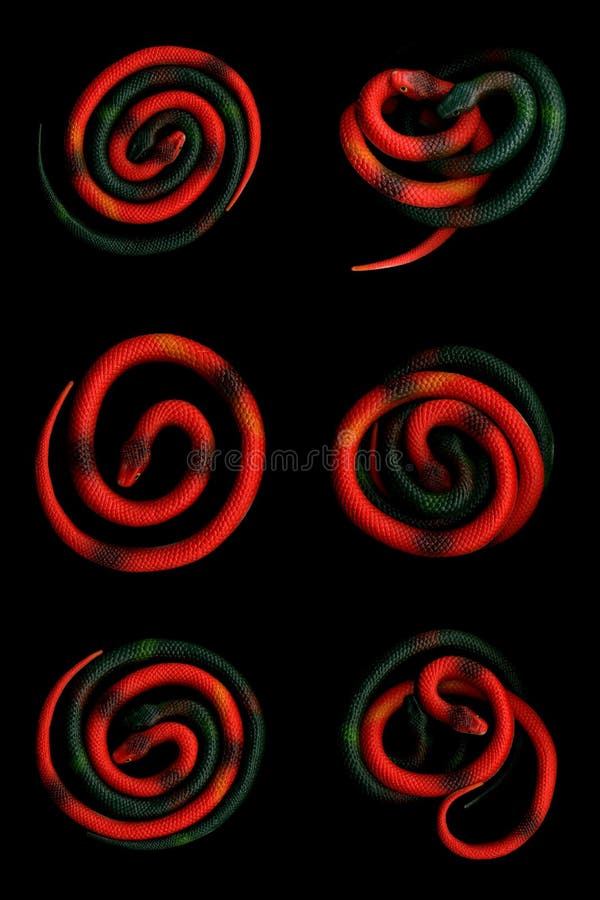 Red Toy Rubber Snakes Rolled Up in a Ball. Colored Toy Snakes. Rubber ...