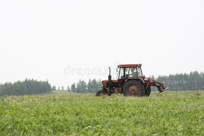 Red Tractor with Designed for Mowing Hay in the Field on a Summer Day ...