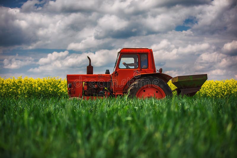 Red tractor in a field stock photo. Image of rapeseed - 92206524