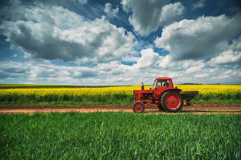 Red tractor in a field stock photo. Image of rural, plow - 92206542