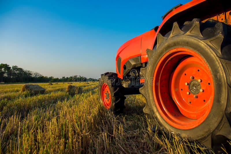 The Red Tractor is Parked in the Harvested Rice Fields. Stock Image ...