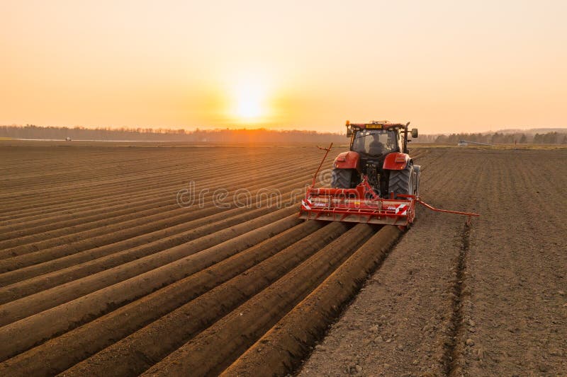 Red Tractor Working in Agricultural Field at Sunset To Avoid a Food ...