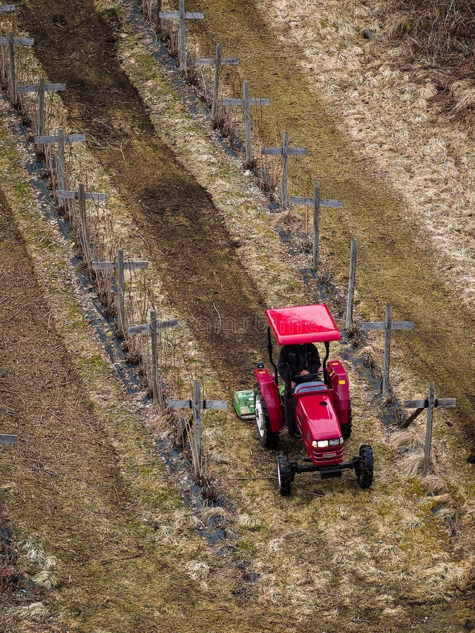 Tractor Working on the Field Editorial Photography - Image of farm ...