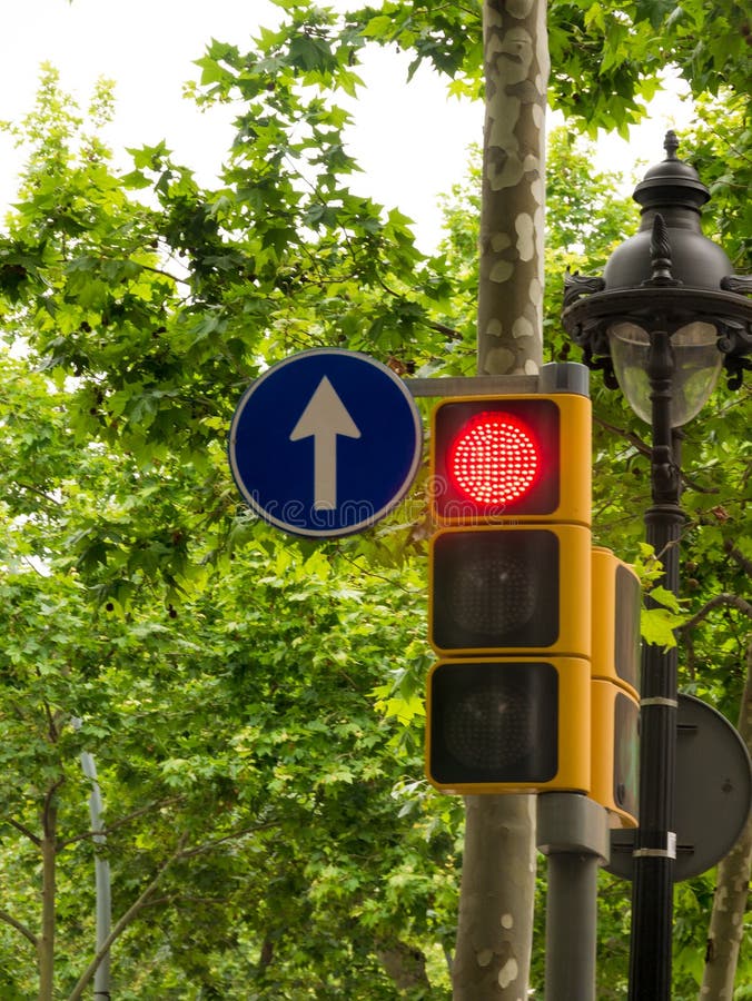 Red Traffic Light on a Lamp Post in Barcelona, with Green Leaves from a ...