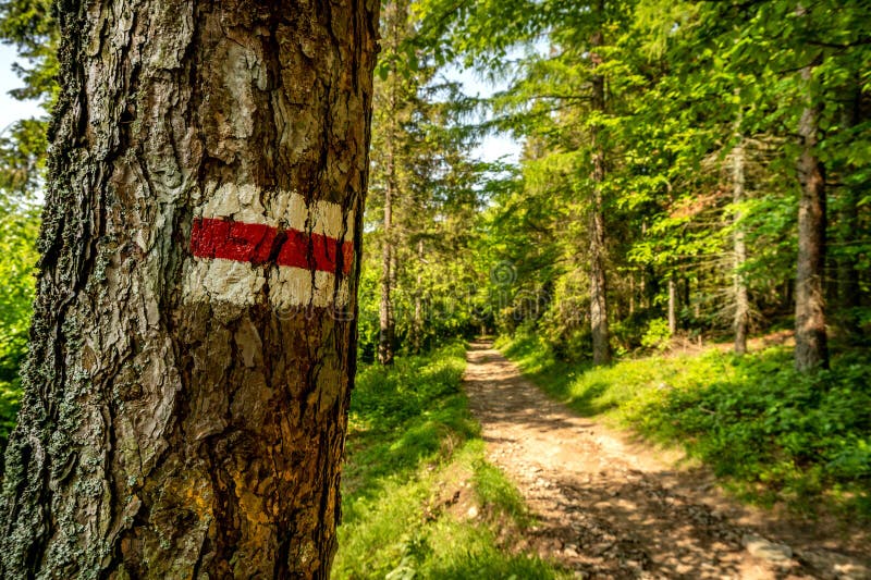 The red trail stock photo. Image of walk, sign, focus - 279476506