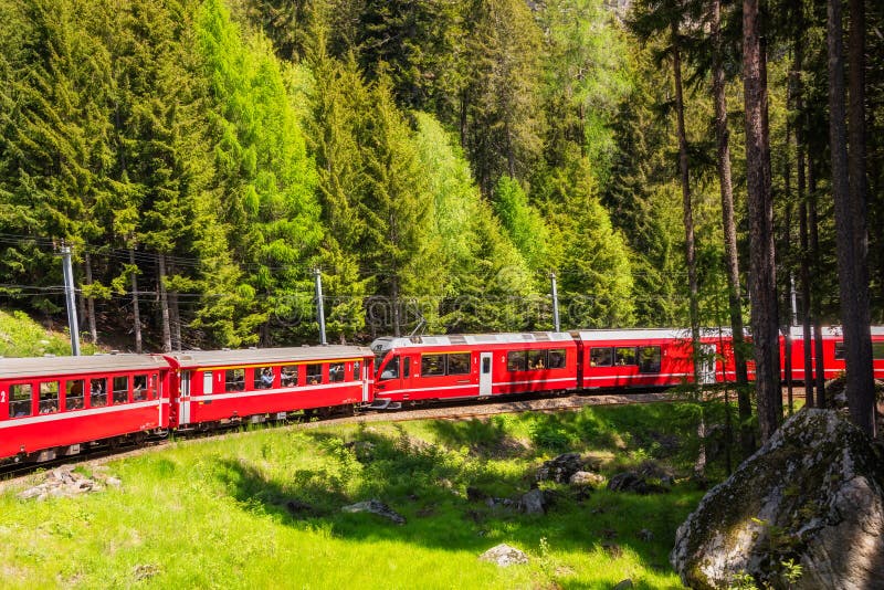 Red Train Moving in Beautiful Green Summer Forest in Switzerland Stock ...