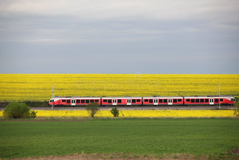 Red Train Moving on Railway in Rapeseed Field Stock Photo - Image of ...