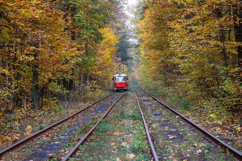 Red Tram Ride through an Autumn Forest Stock Photo - Image of seasonal ...