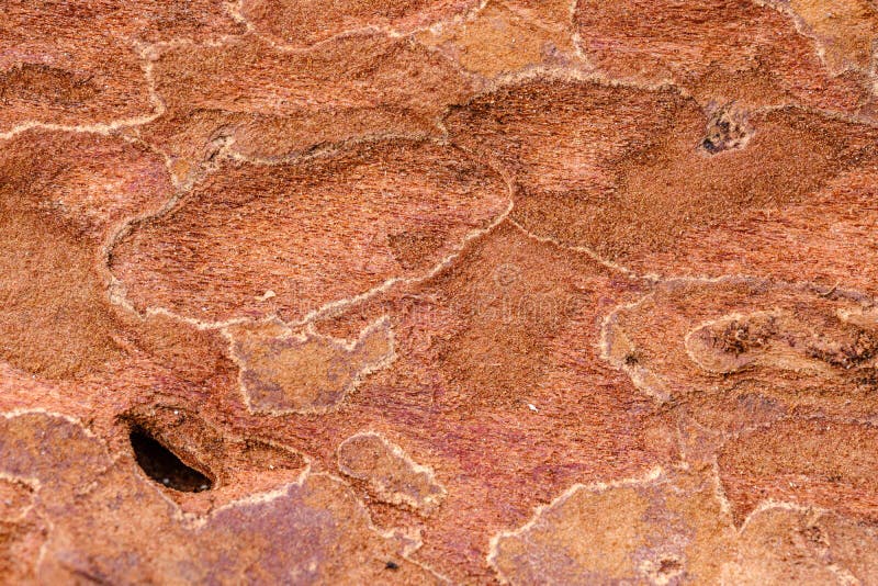 Red Tree Bark Abstract Close Up Texture Stock Photo - Image of texture ...