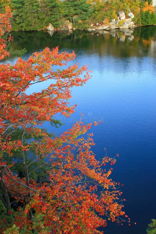 Red Tree on Lake Minnewaska Stock Photo - Image of ripples, lake: 11389206