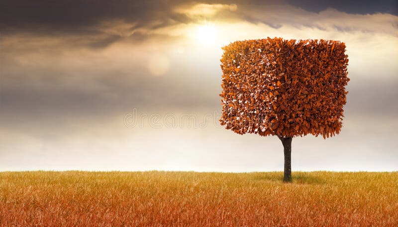 Red Tree in Landscape stock photo. Image of cube, grass - 142053796