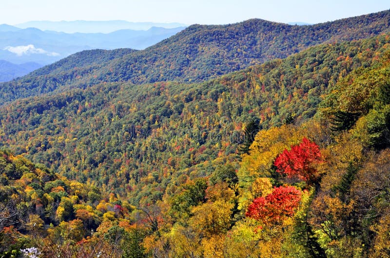 Red Trees in Fall stock photo. Image of trees, mountains - 27291322