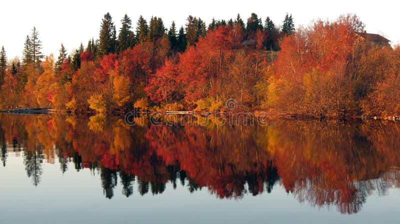 Red Trees Reflection in the Mirror Lake Stock Image - Image of green ...