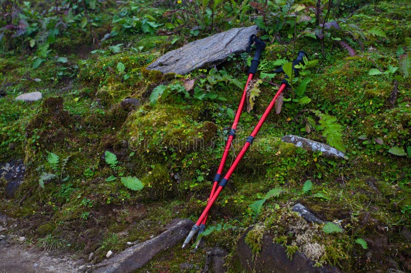 Red Trekking Poles Sticks on the Hiking Road Stock Image - Image of ...