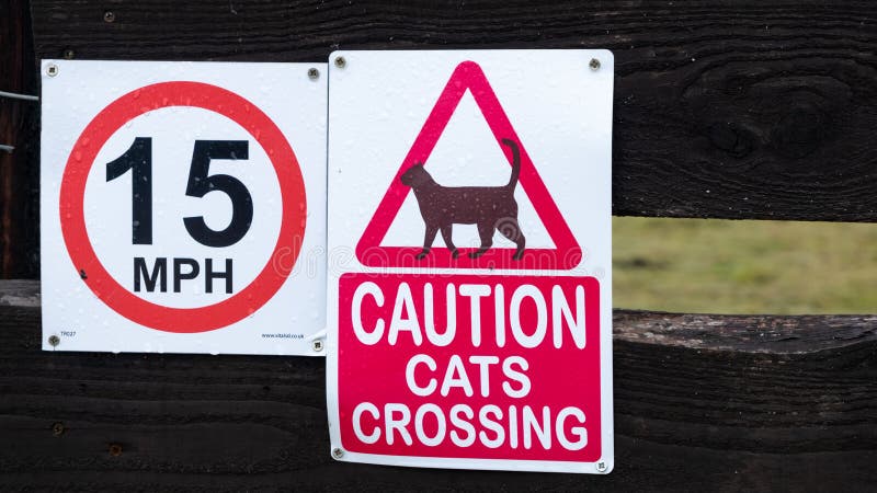 Red Triangle Caution Cats Crossing Sign and Speed Limit Stock Image ...