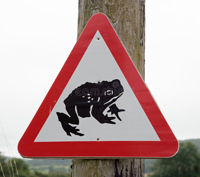 A Red Triangle Warning Sign with a Black Toad in the Triangle Stock ...