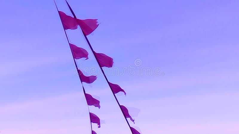 Red Triangular Flags Flutter in the Strong Wind Against a Bright Pink ...