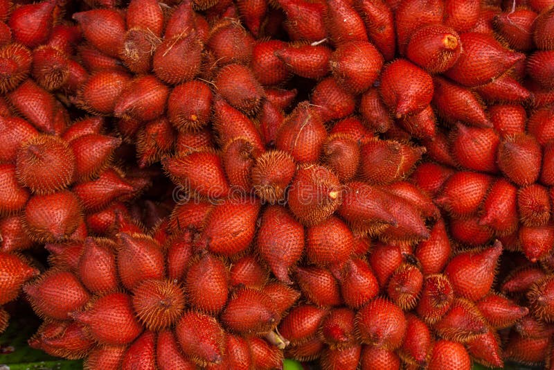 Red Tropical Fruit Salacca. Stock Image - Image of brown, exotic: 43510981