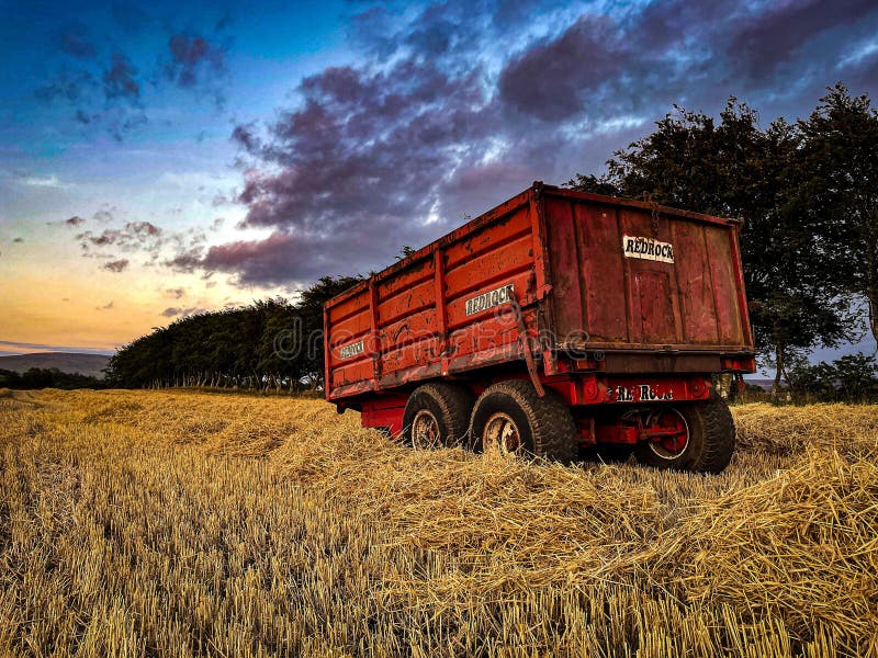 Red Truck in a Golden Field on the Sunset Stock Image - Image of ...