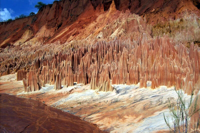 Red Tsingy stock image. Image of northern, wildlife, rocks - 49783623